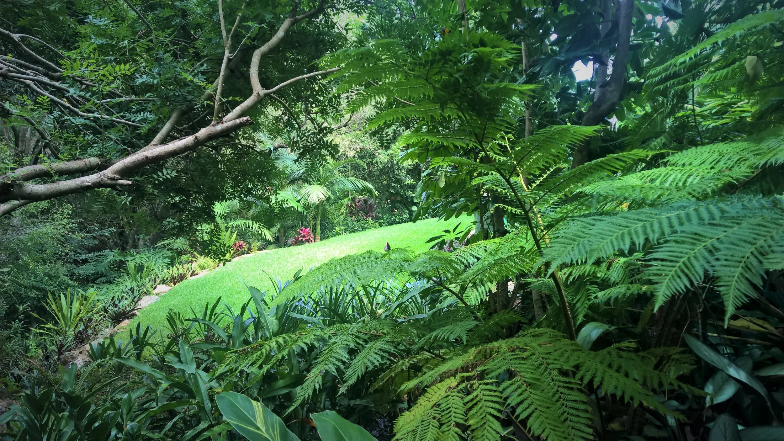 Residential — Define Landscape Architecture