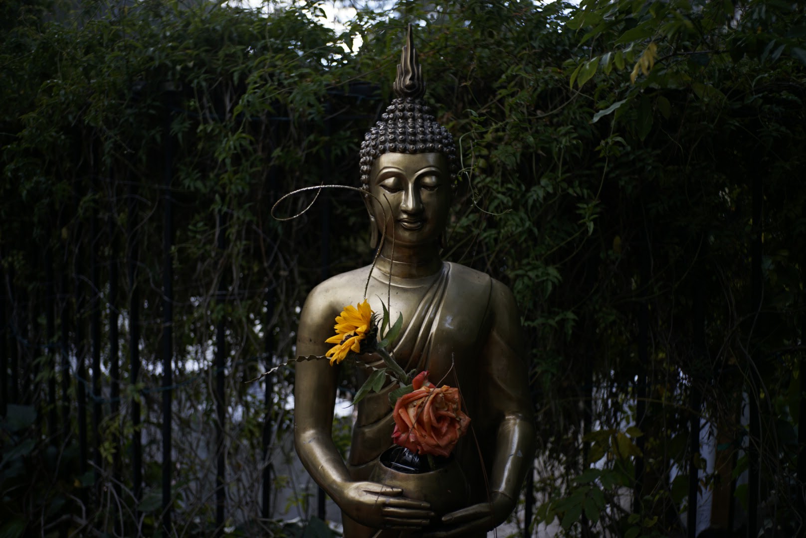 Inn of the Seventh Ray