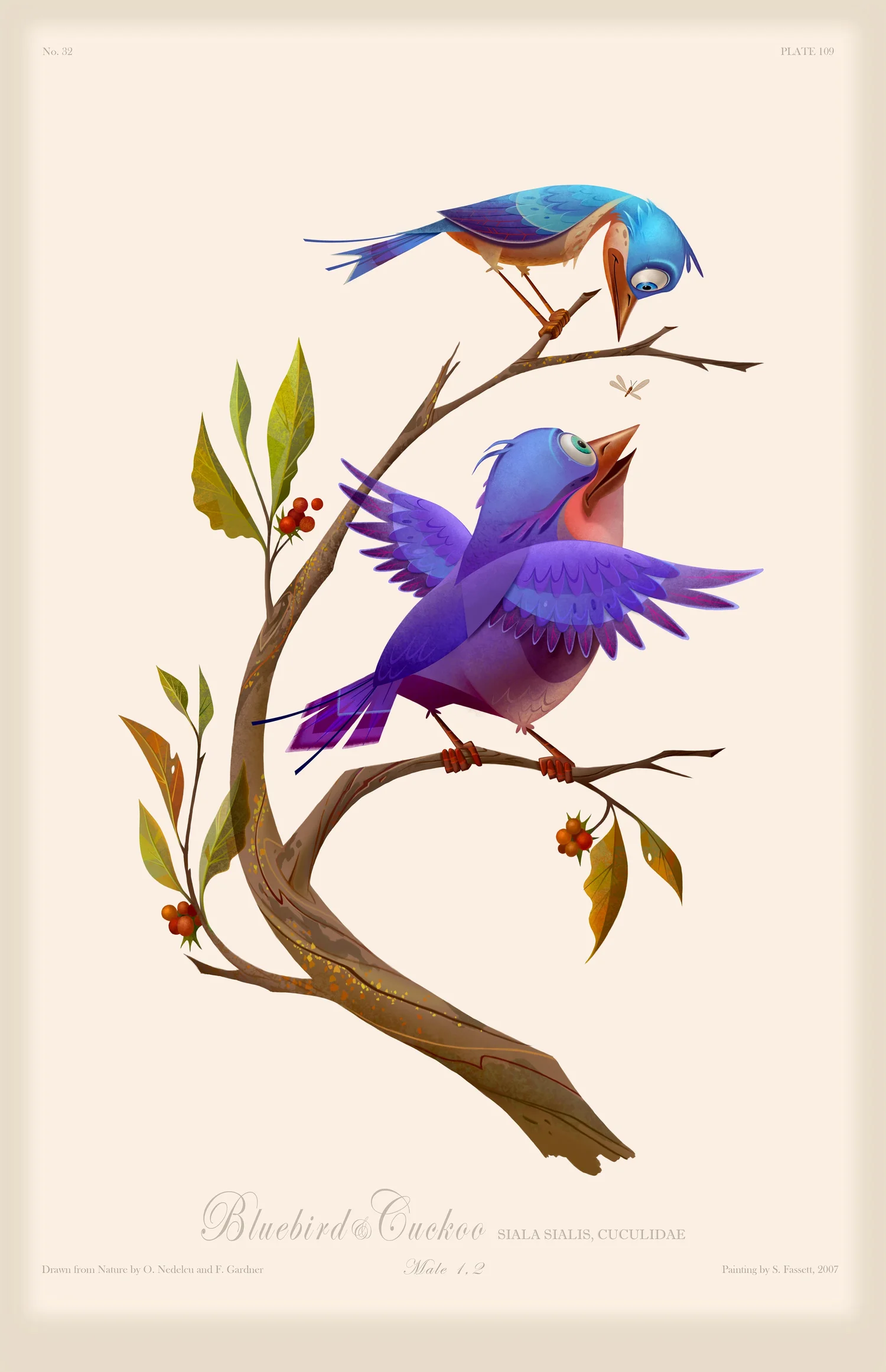 Jack & Ben Gallery — Scott Fassett