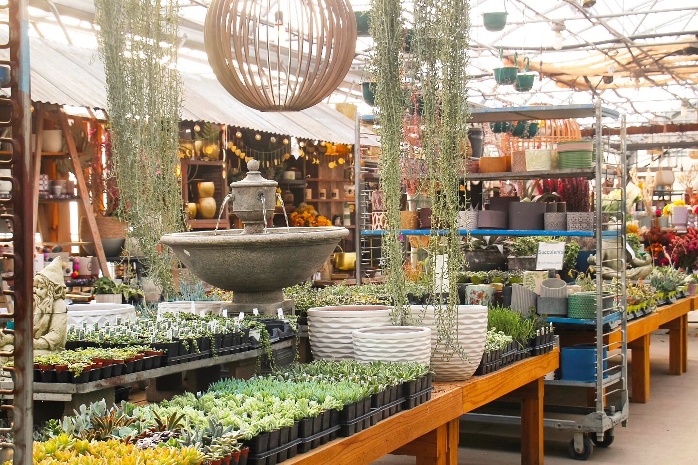 Fall Container Gardening Workshop- Morning Workshop — Sailer's Greenhouse