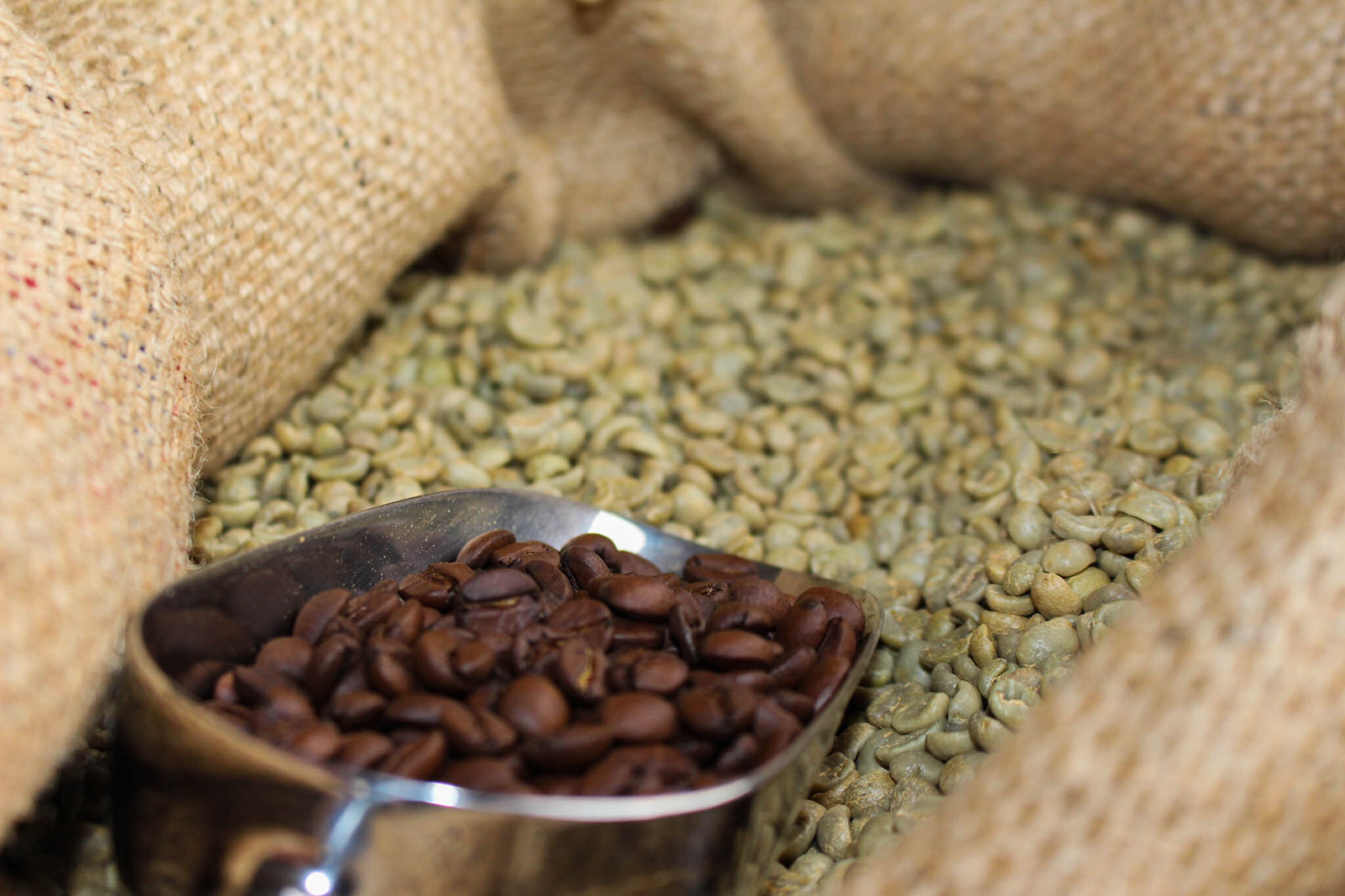 Aspen Coffee Roasters