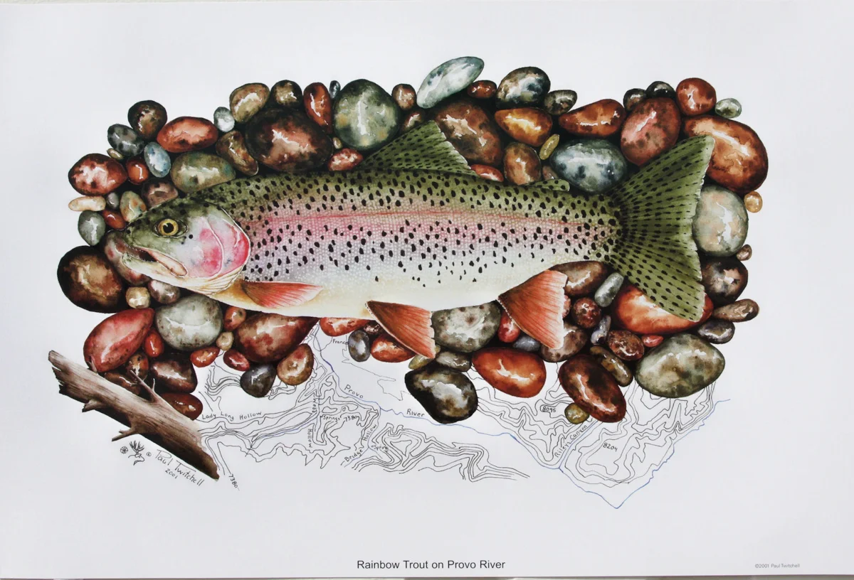 Gallery — PAUL TWITCHELL