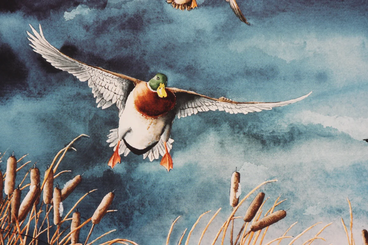 Gallery — PAUL TWITCHELL