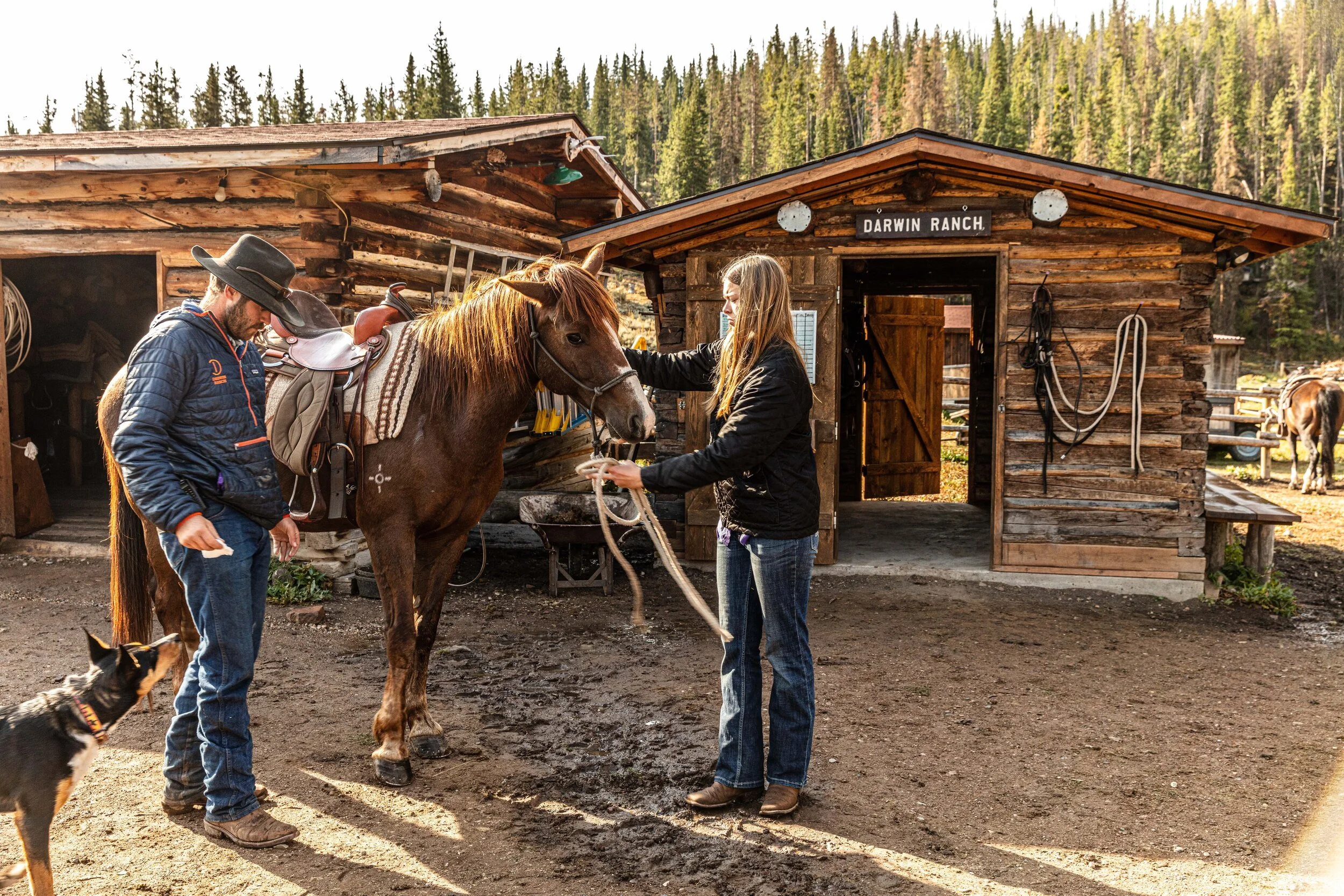 Ranch — Darwin Ranch