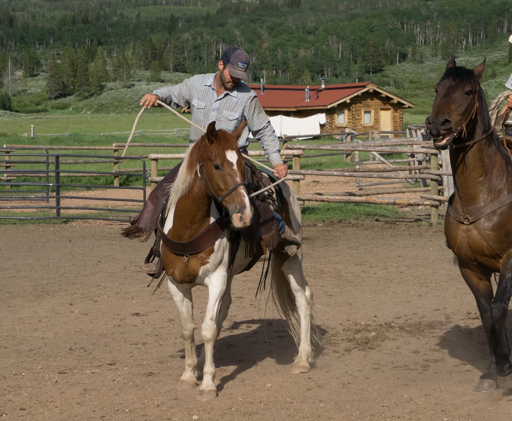 Values — Darwin Ranch