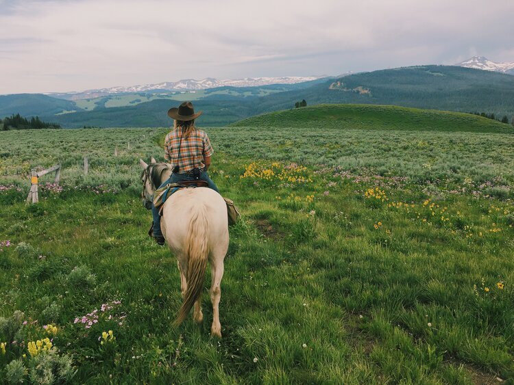 Values — Darwin Ranch