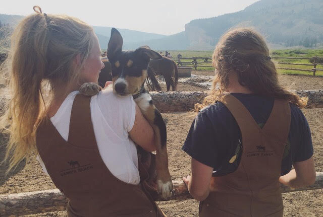 Values — Darwin Ranch