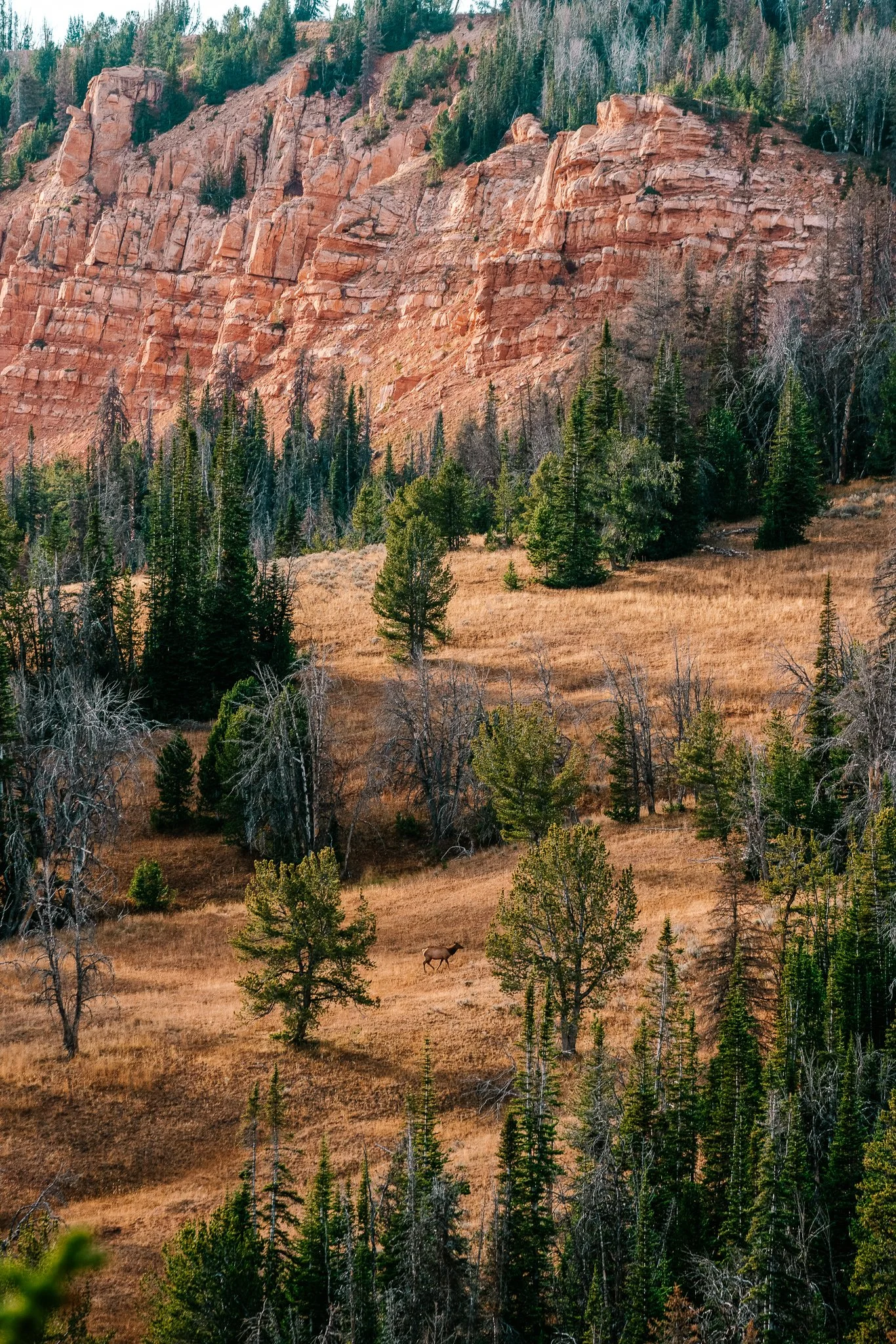 Chief Washakie Foundation — Darwin Ranch
