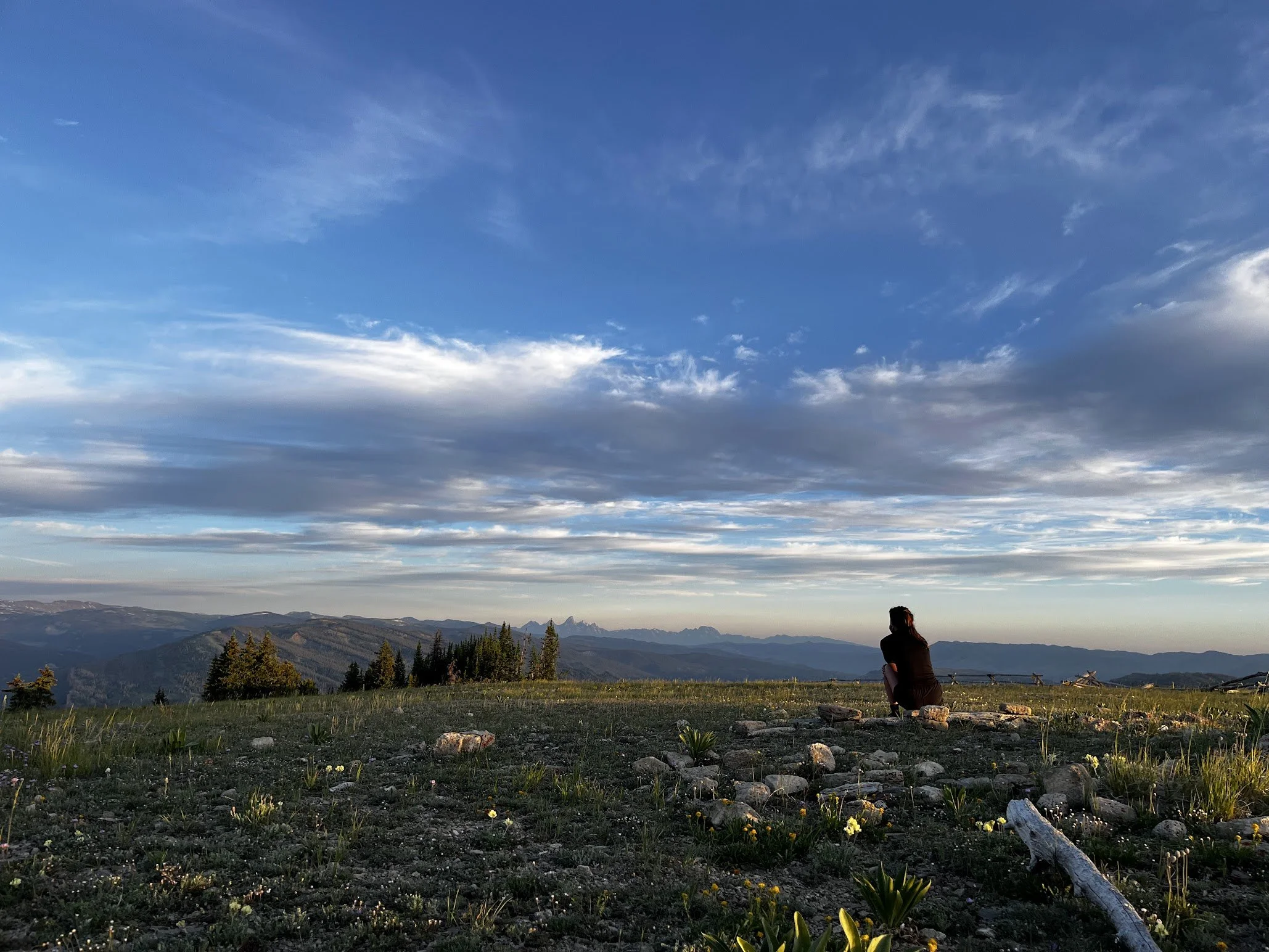 Booking — Darwin Ranch