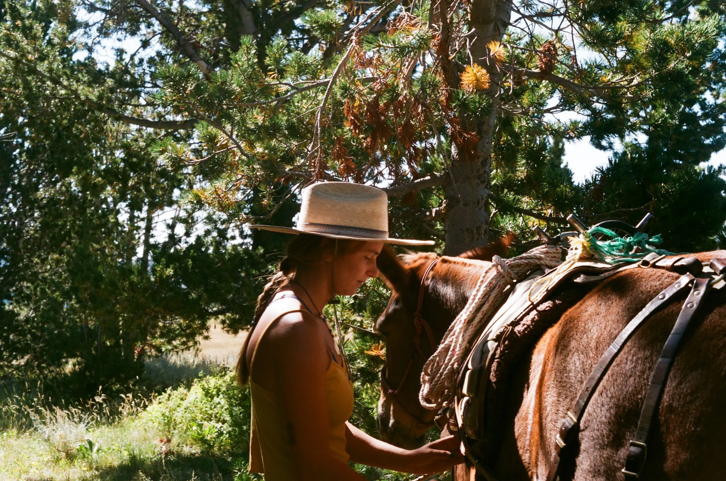 Pack Trips — Darwin Ranch