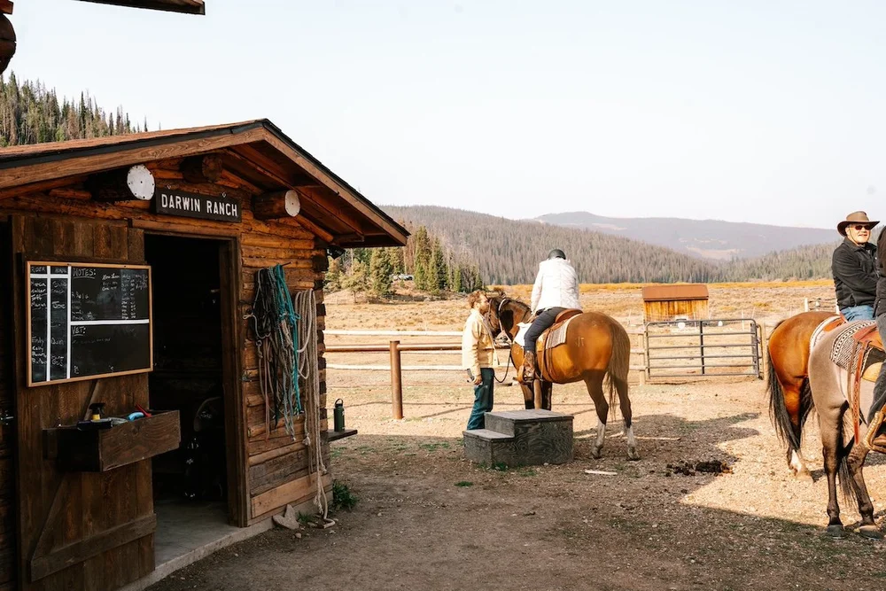Wyoming Horse Ranch Vacations — Darwin Ranch
