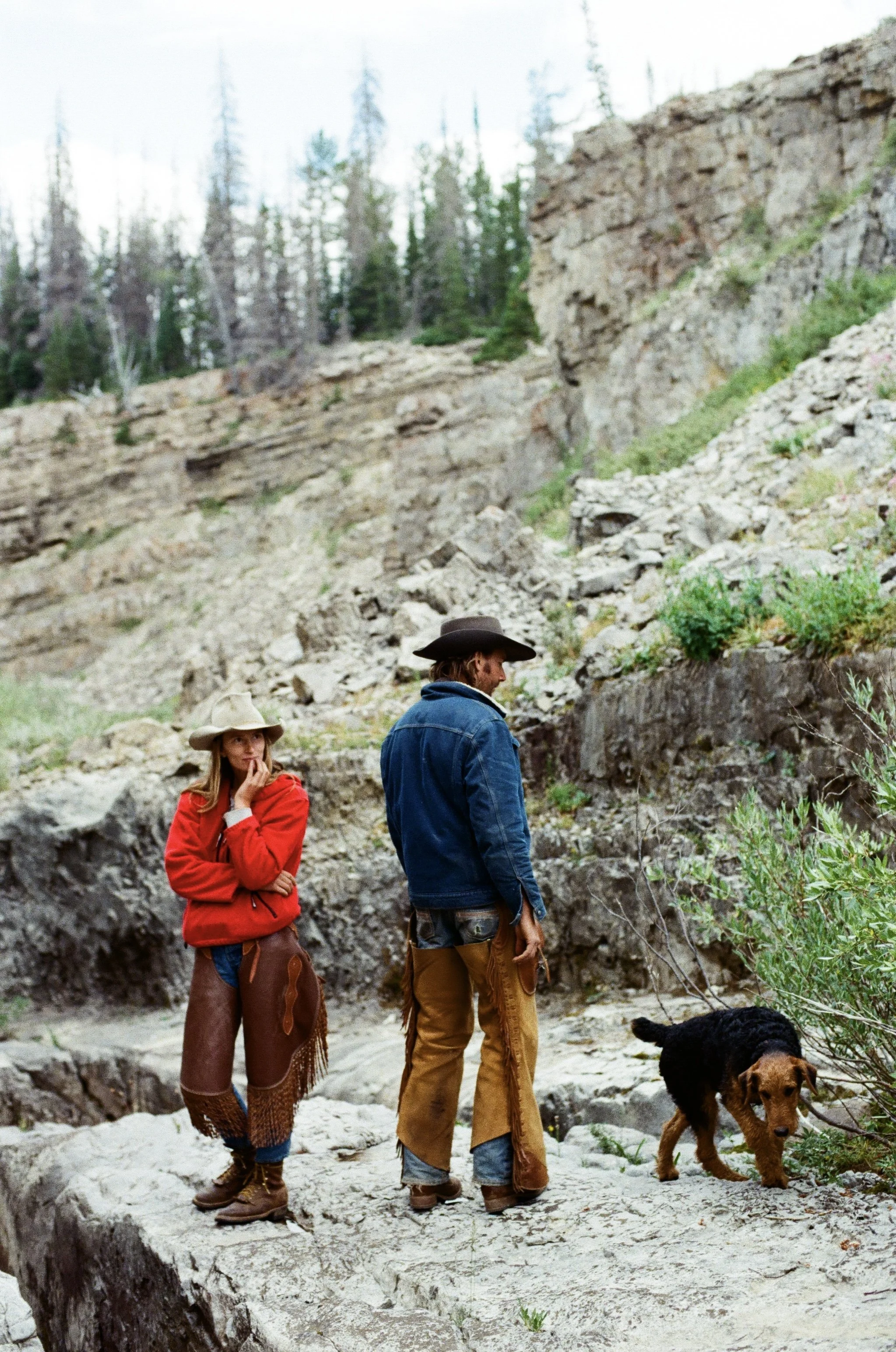 Pack Trips — Darwin Ranch