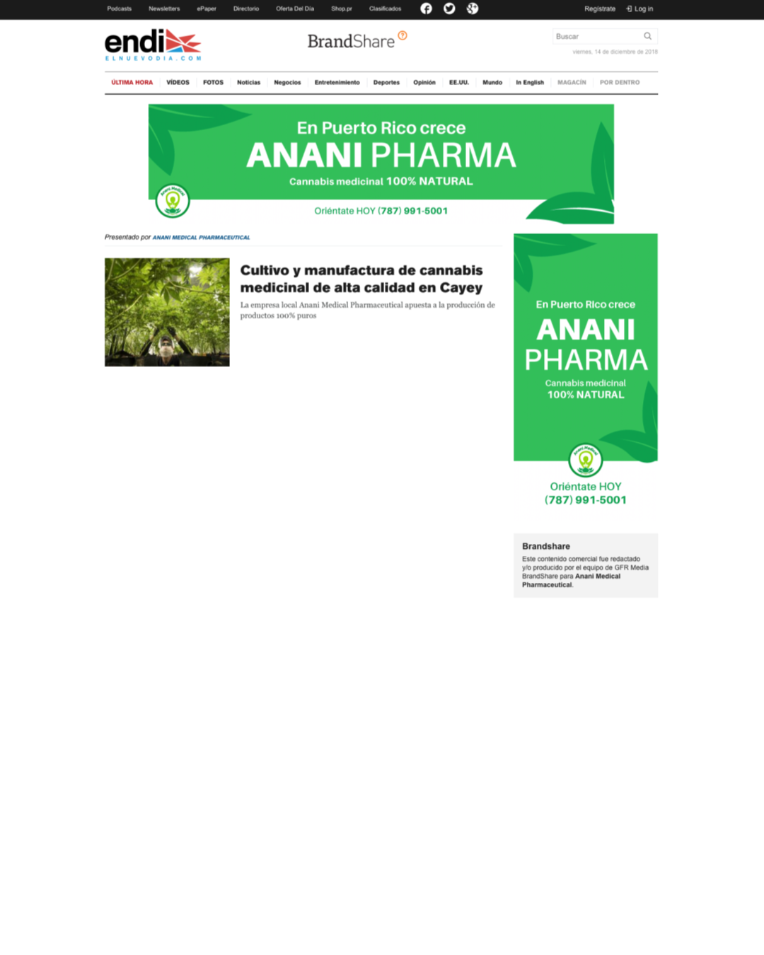 Case Study - Anani — BrandStudio