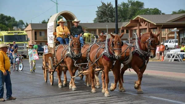 Delta Area Chamber of Commerce