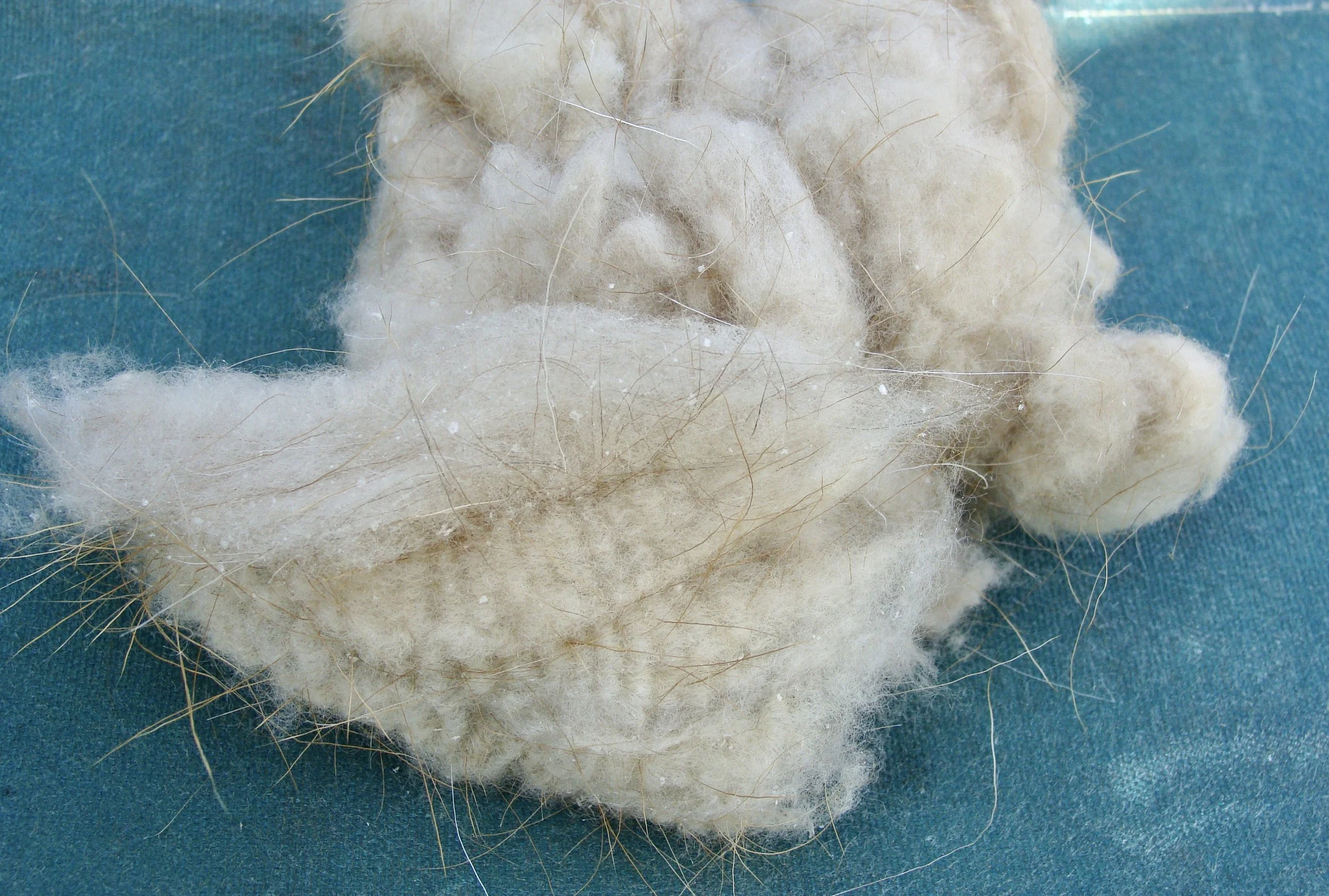 Cashmere Gathering — FLORA & FIBER