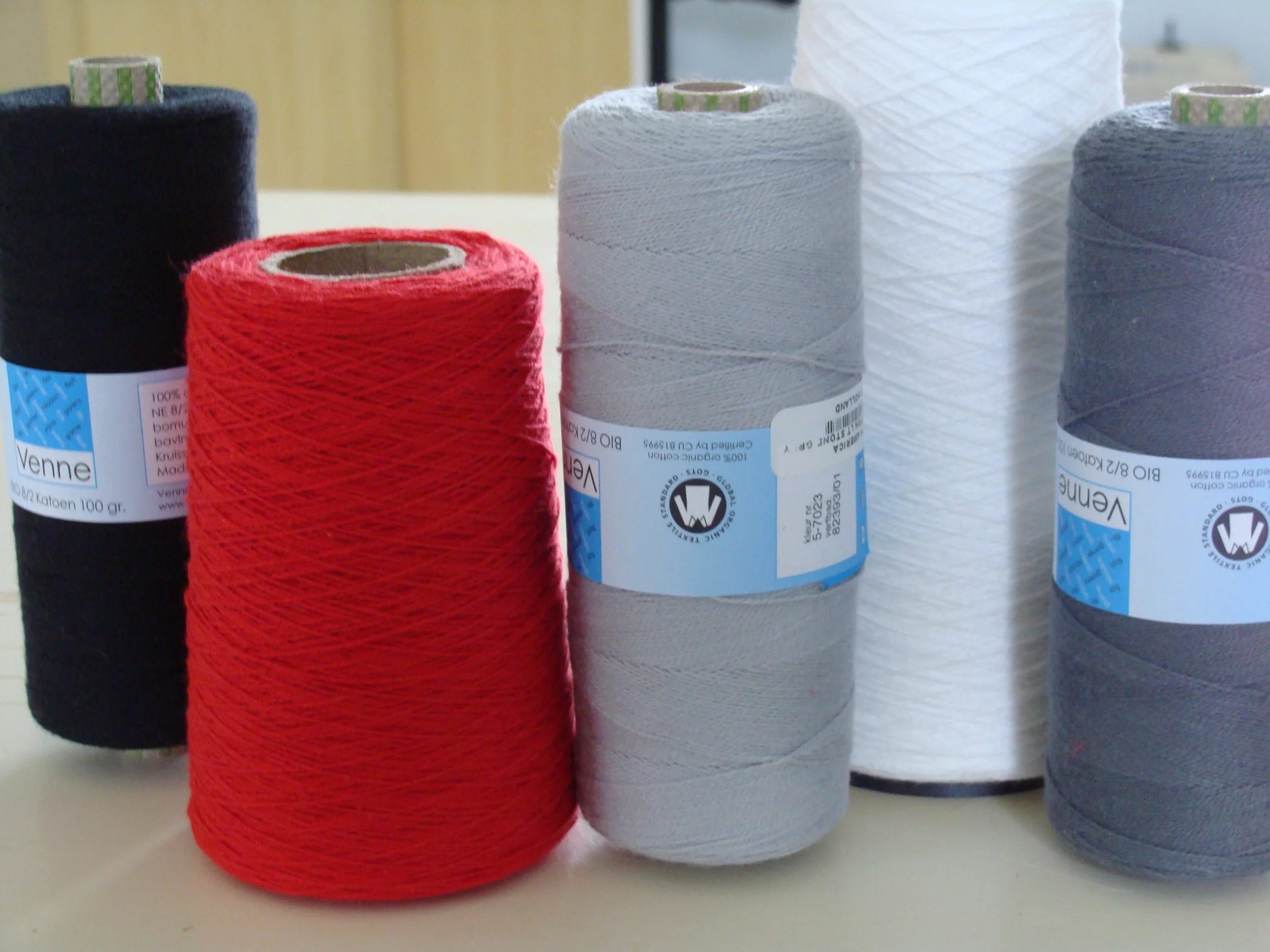 The Magic in a Warp — FLORA & FIBER