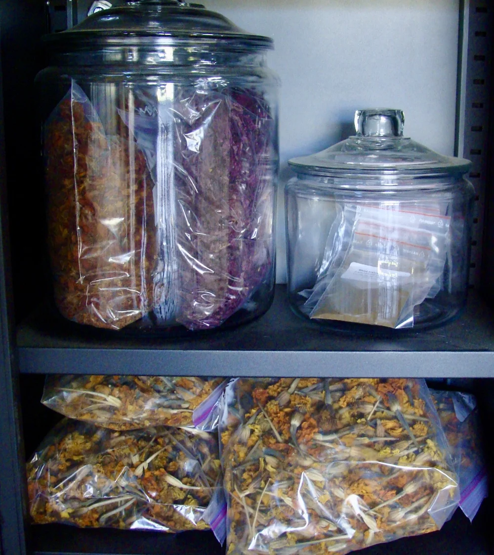 My Dye Studio — FLORA & FIBER