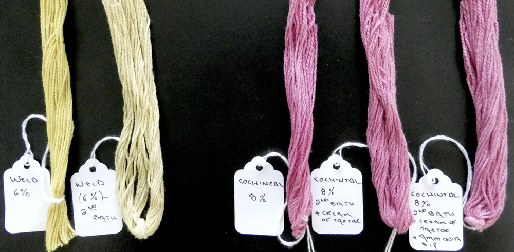 Natural Dyeing-Day 3 — FLORA & FIBER