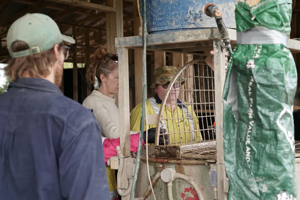 Workshops — The Leaders In Hemp & Lime Construction