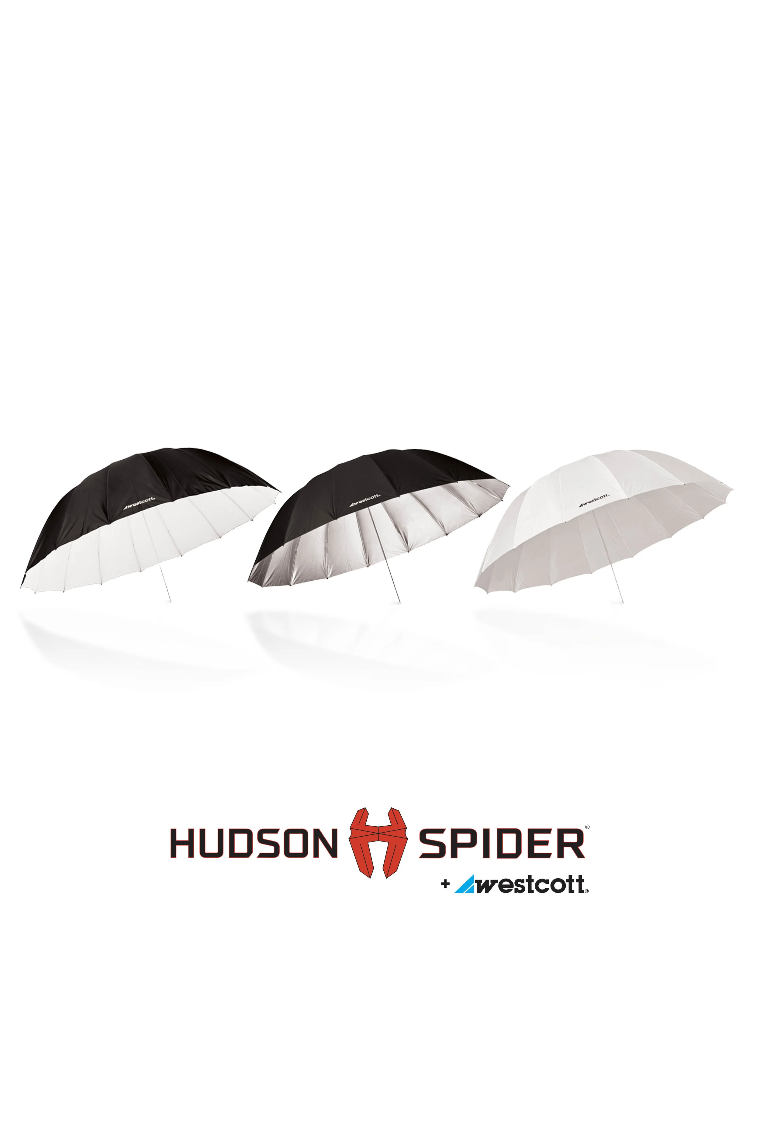 Shop — HUDSON SPIDER