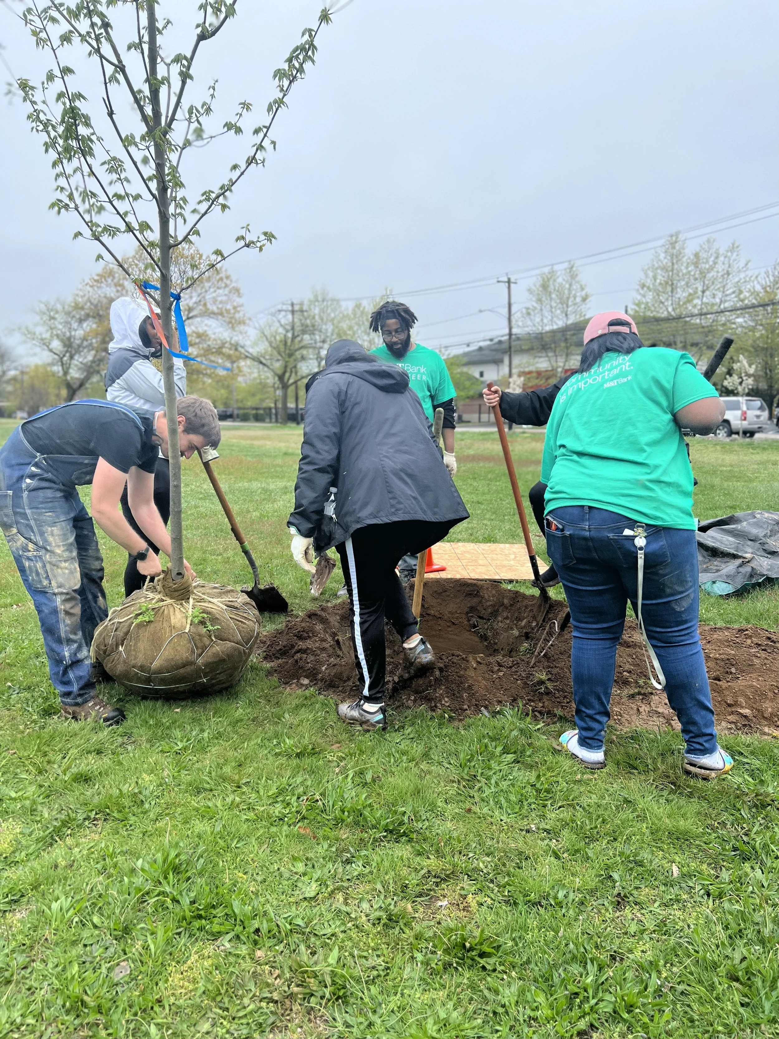 Events - Volunteer Opportunities | Groundwork Bridgeport — Groundwork ...