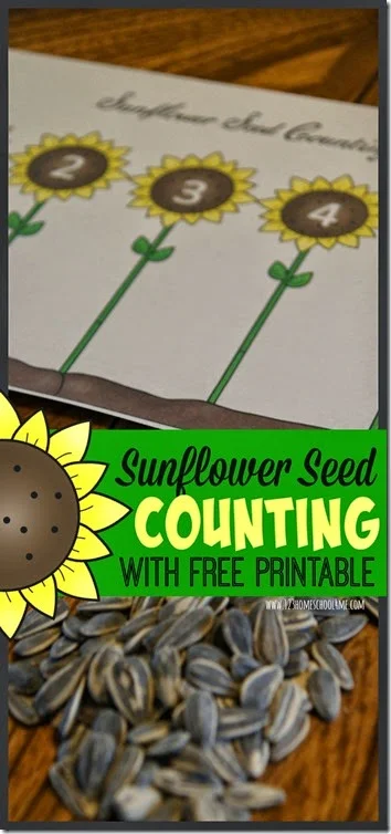 5 Fun and Free Spring Math Activities for Preschoolers — Mommy is My ...