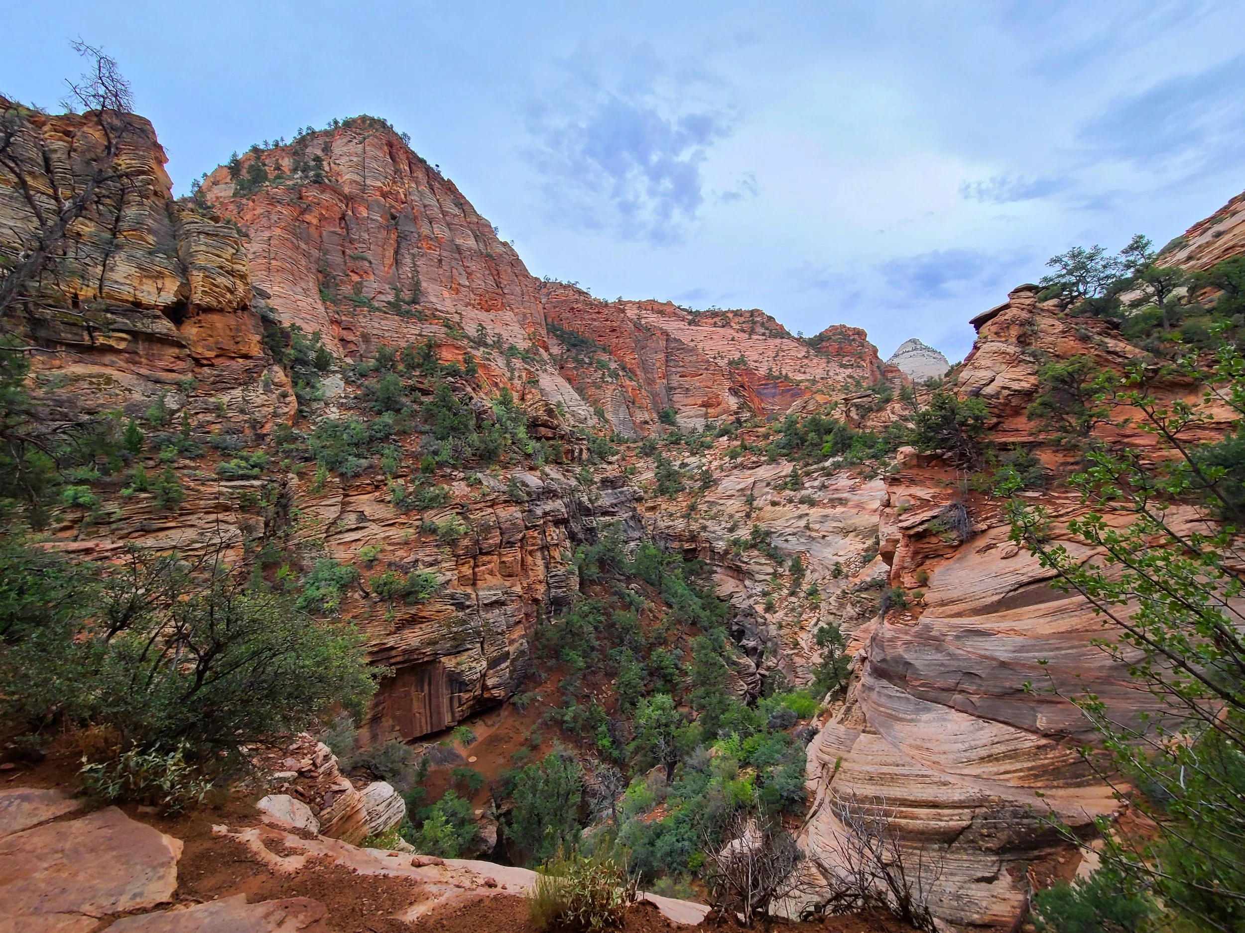 Zion & Bryce National Parks — Martin Mann Photography