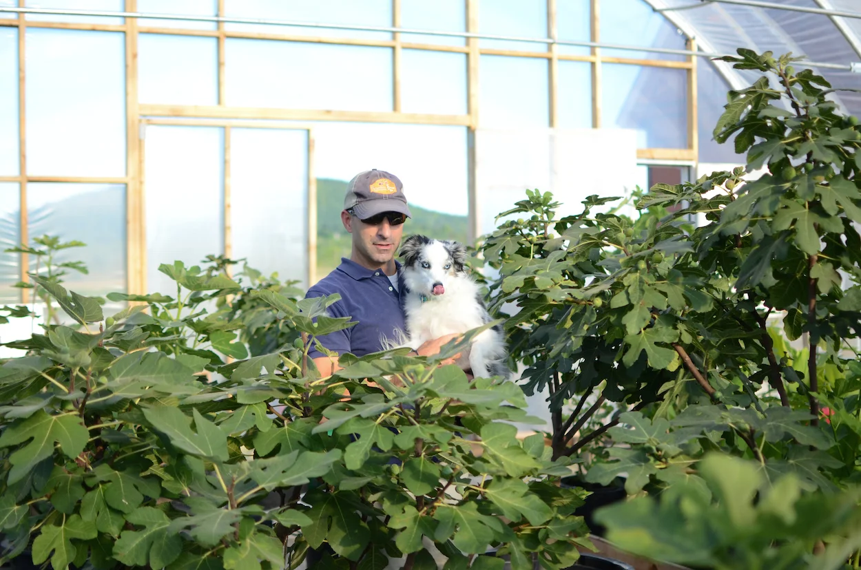 About — Paradiso Coffee