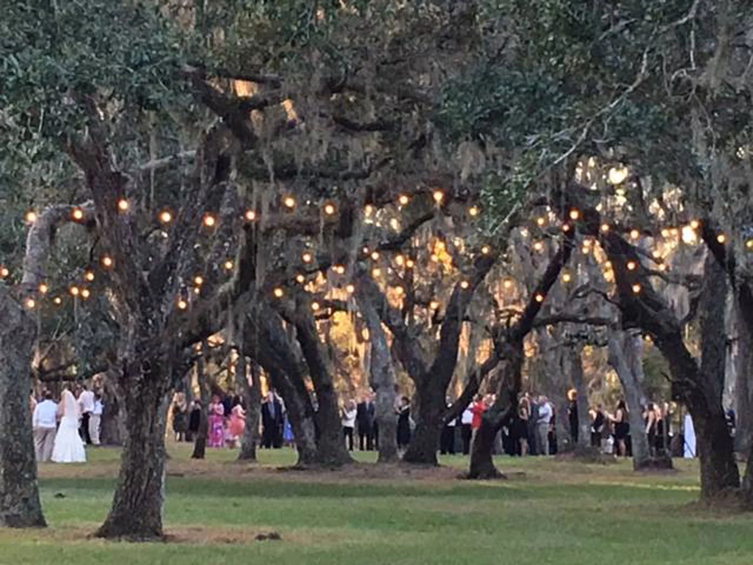 The Venue at Diamond C Ranch