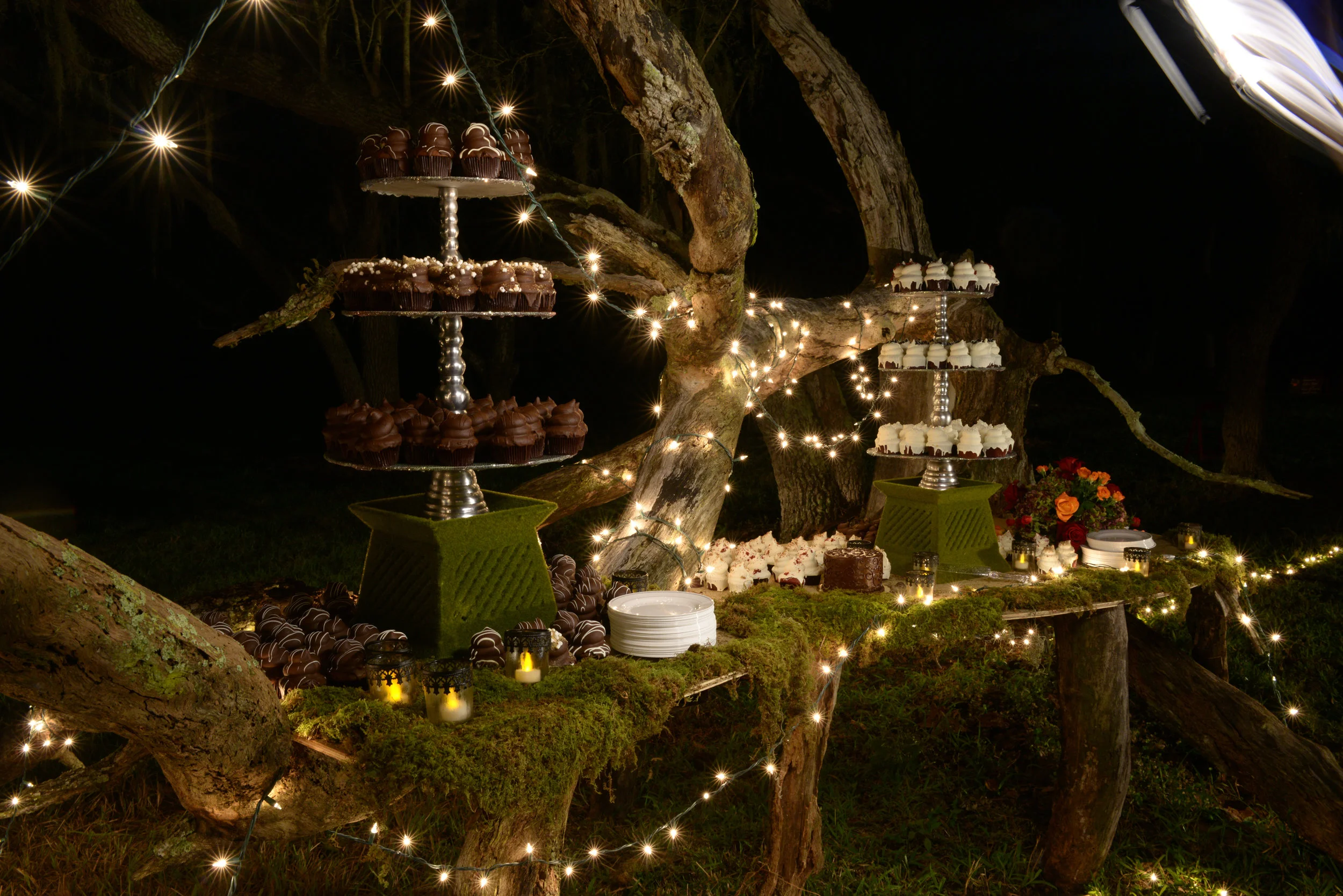 The Venue at Diamond C Ranch