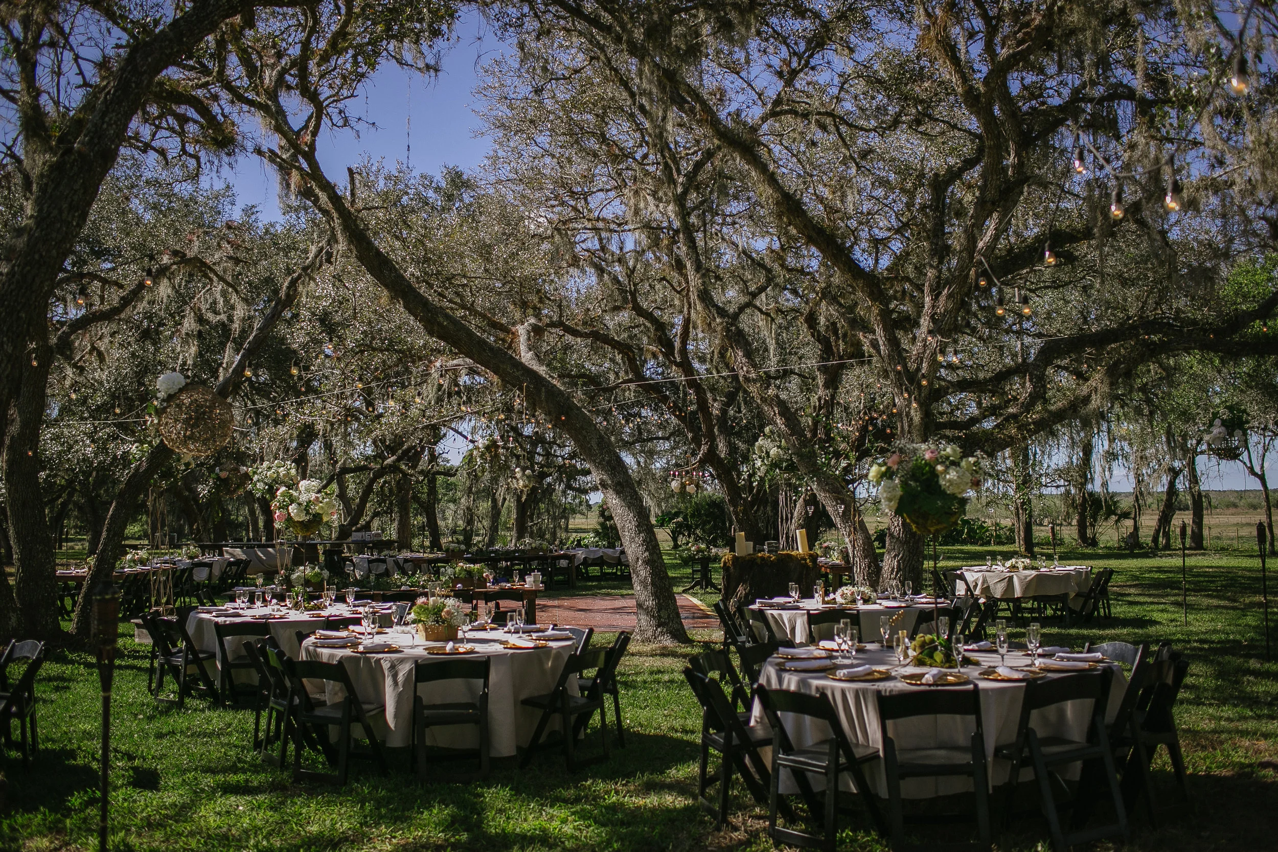 The Venue at Diamond C Ranch