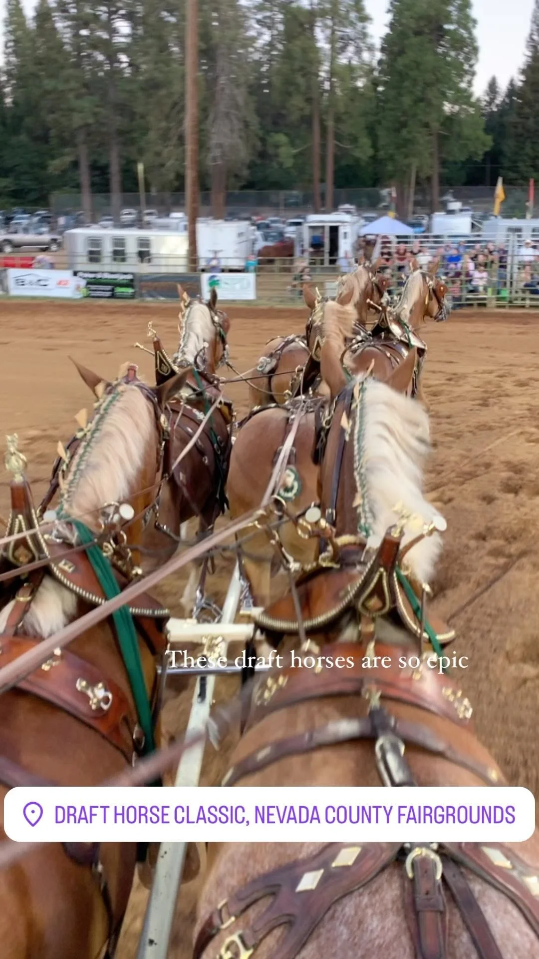 The Old Spanish Trading Company