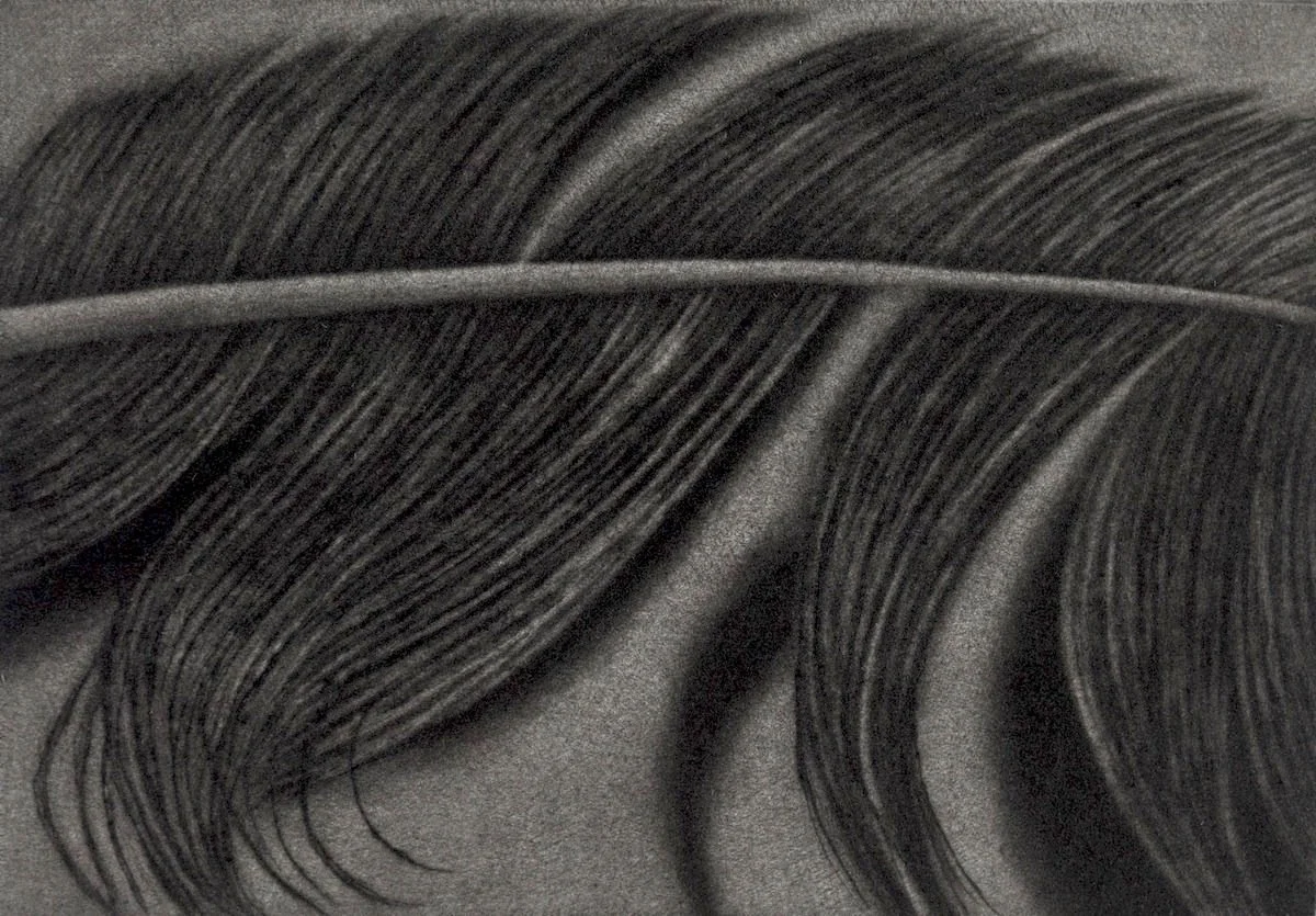 Mezzotints — Holly Downing