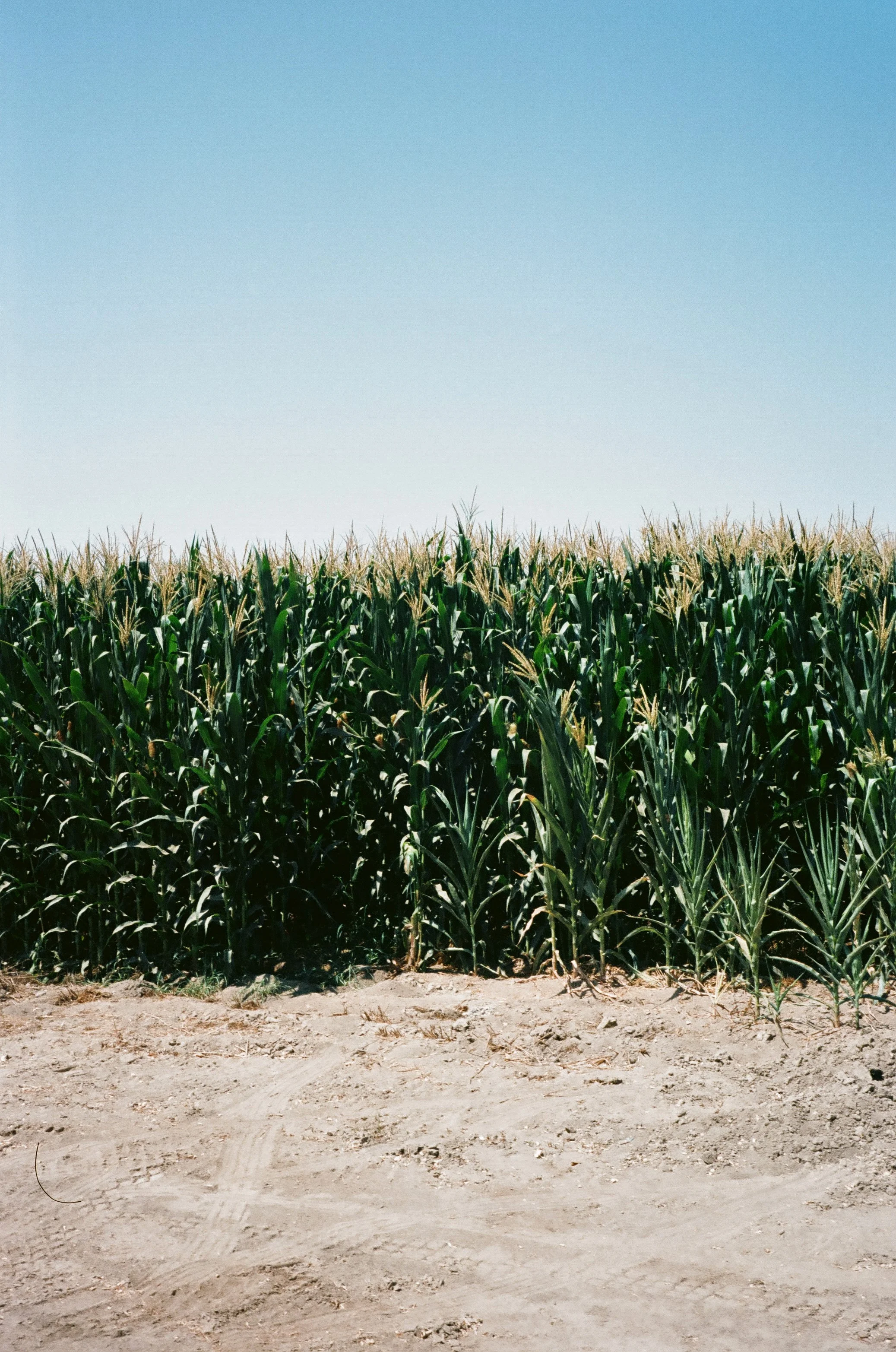 Routine America — Kyle Everett Smith