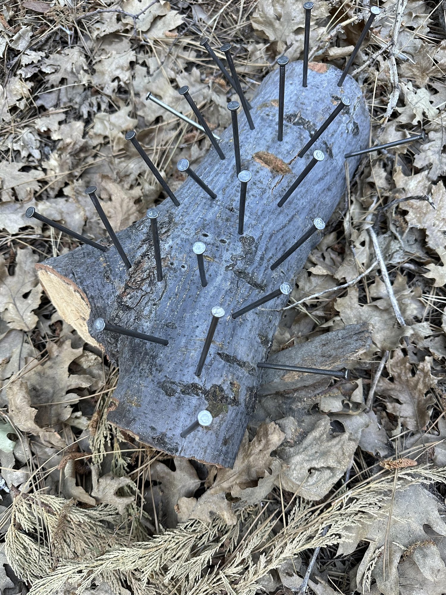 Blog — Glenn E. Pearson