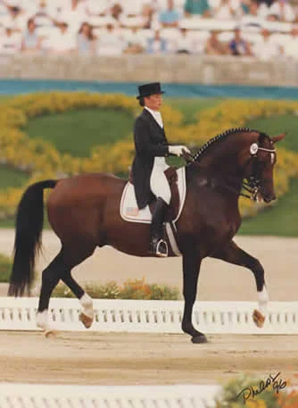 Peron *Pg* — American Trakehner Foundation