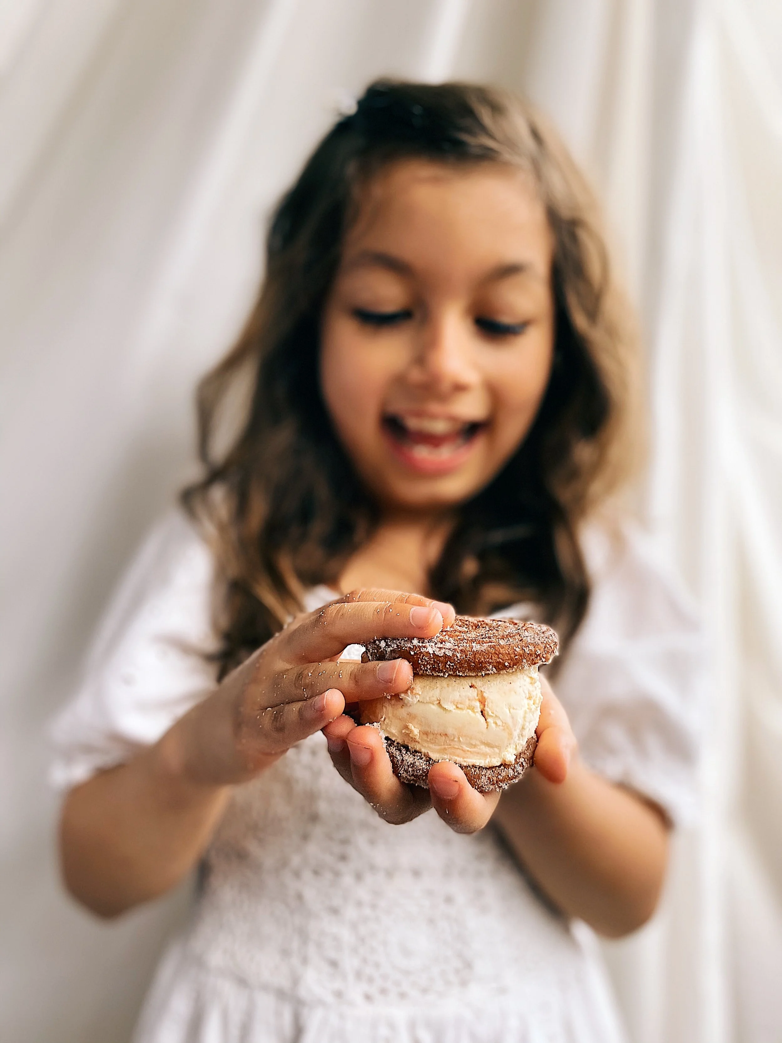 Roasted Peach Ice Cream and Churro Sandwich. — Life Limon Y Sal