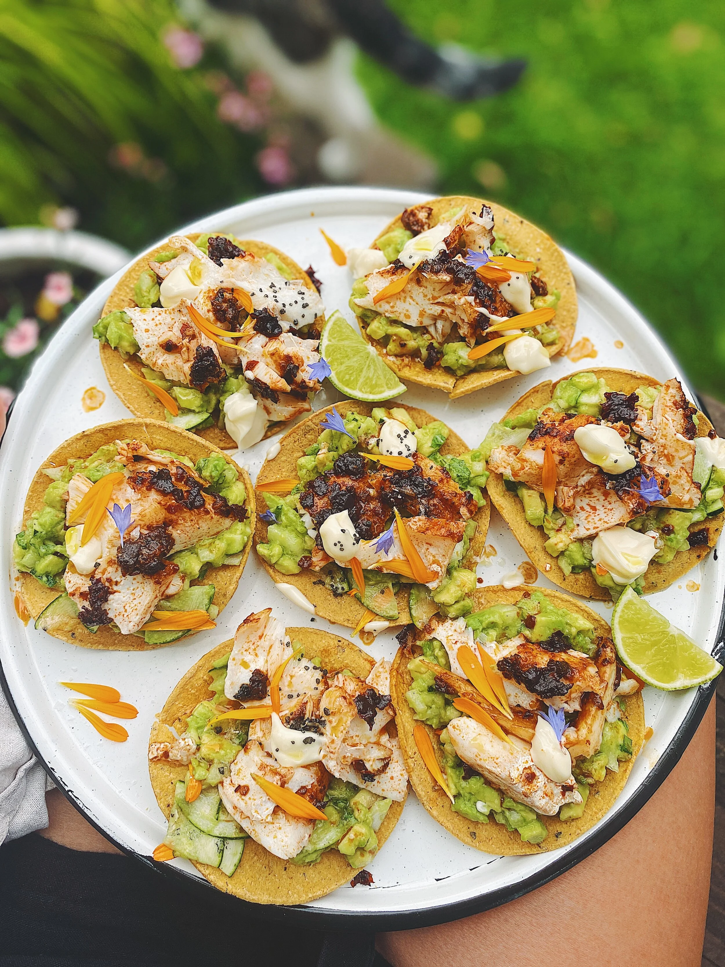 Baked Chipotle and Mezcal Haddock Tostadas — Life Limon Y Sal