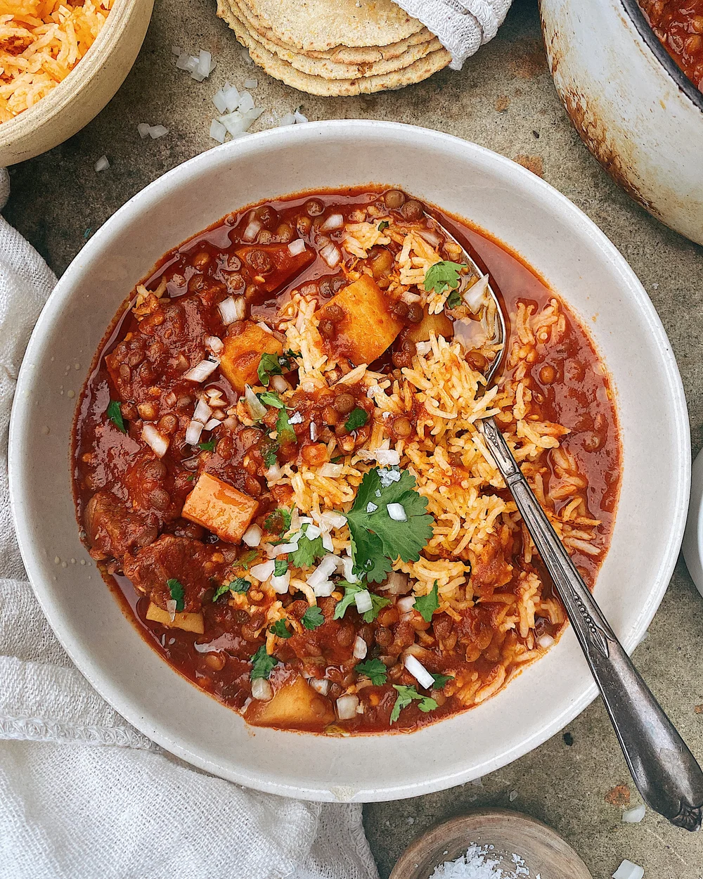 Beef and Lentil Quick Guajillo Stew . — Life Limon Y Sal