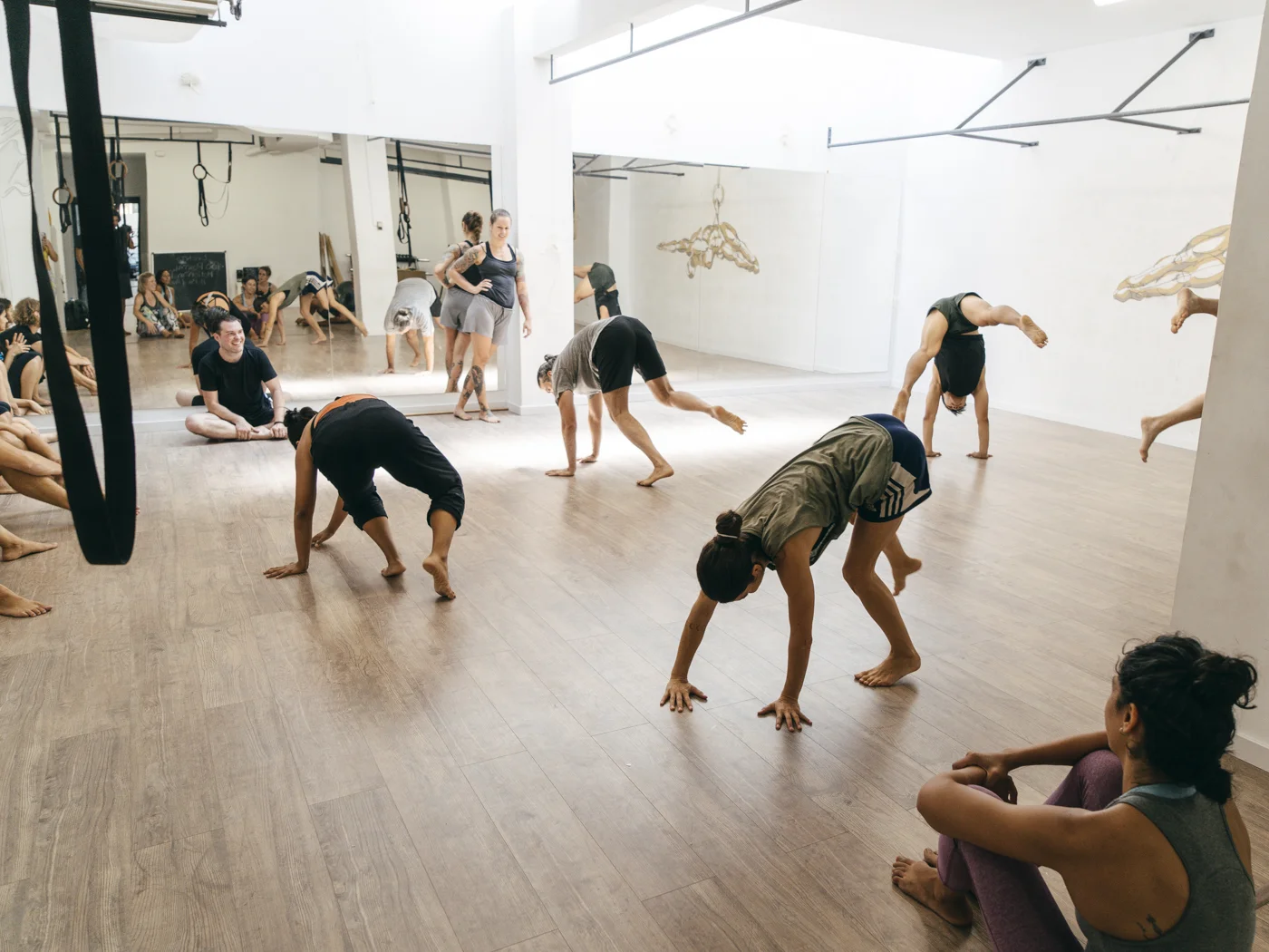 The Bamboo Body - News - Variability