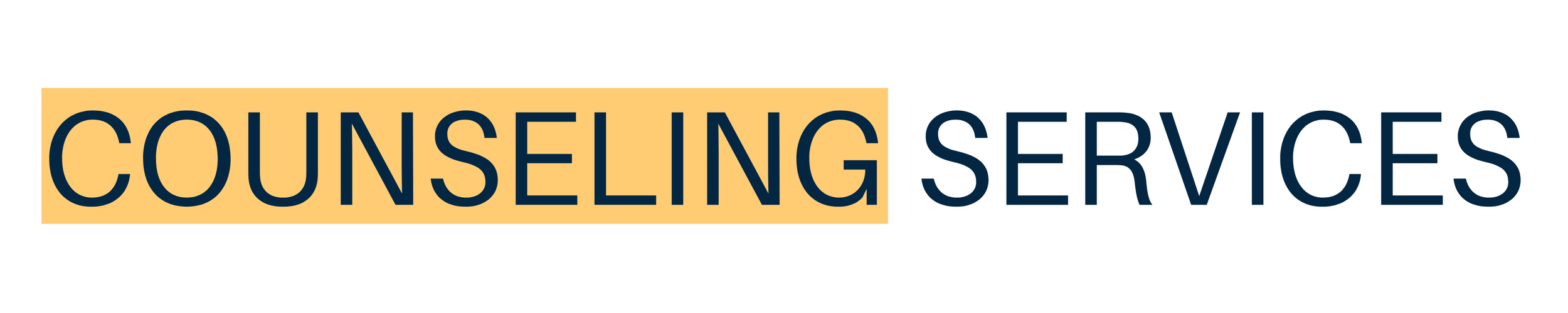 Counseling Services — Ransomed Life