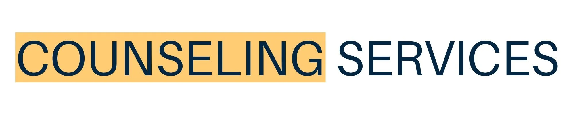 Client Services — Ransomed Life