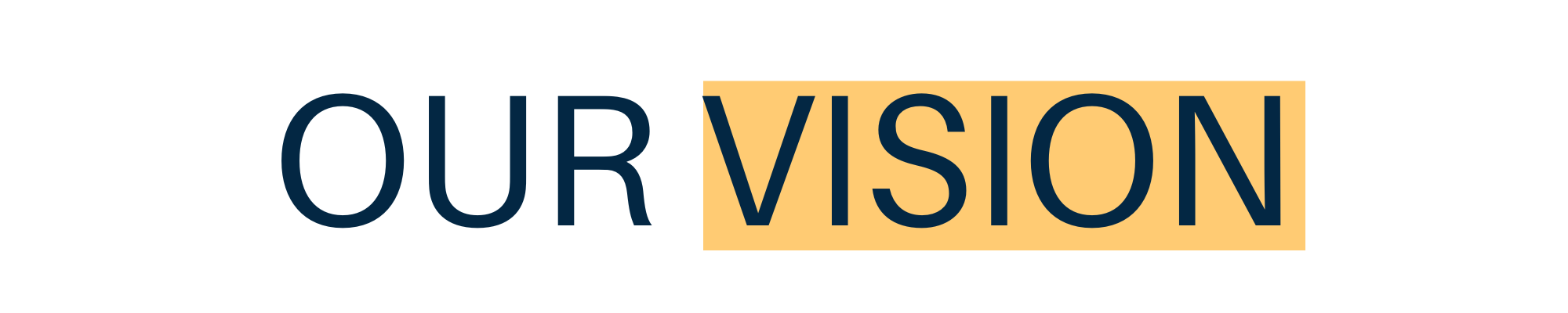 Our Vision — Ransomed Life