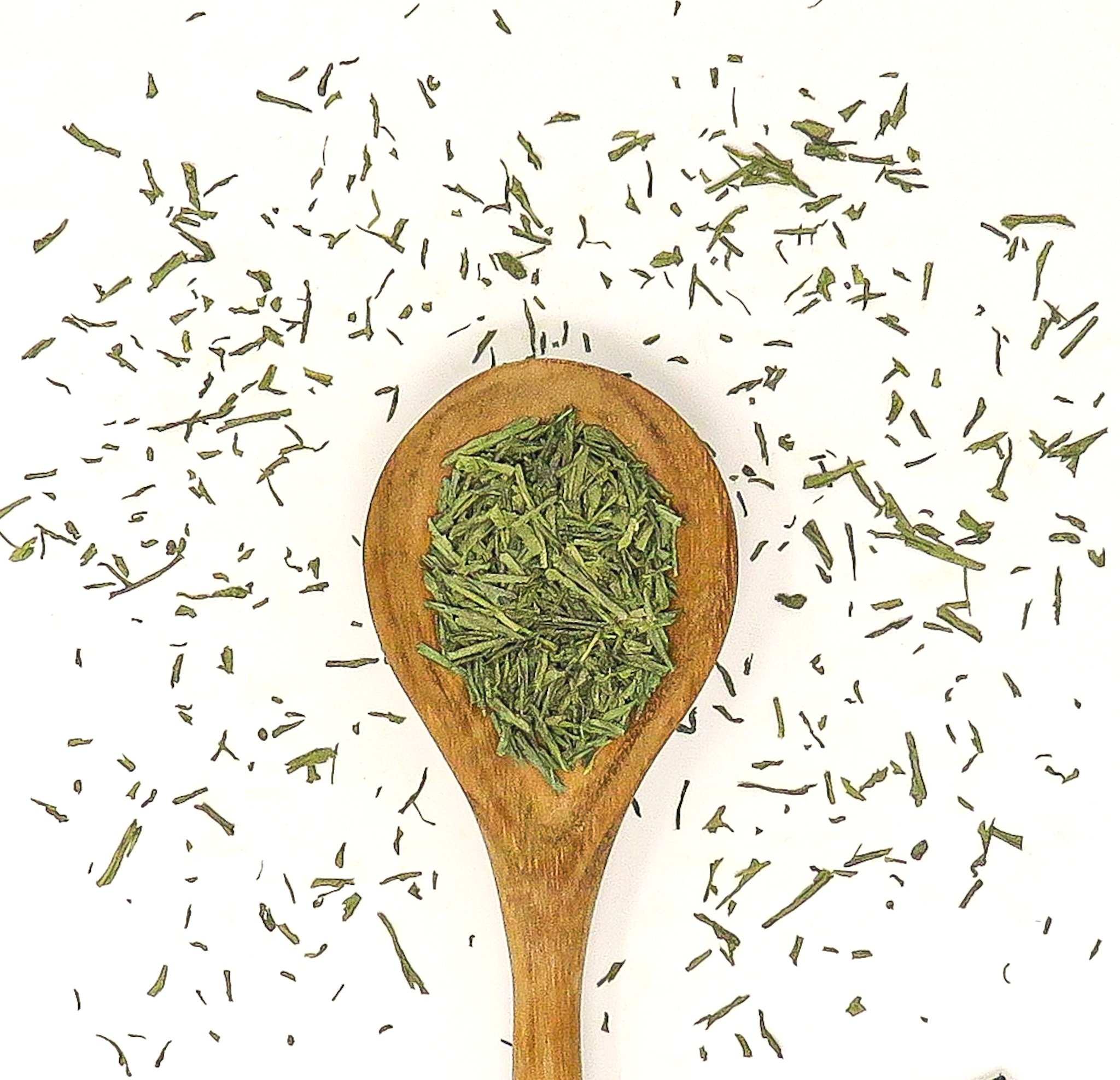 Tea — The Tea Tree