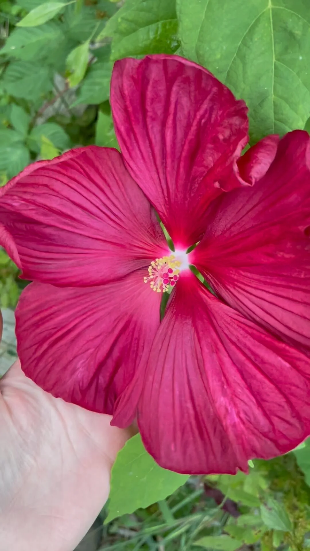 maggie latham studio