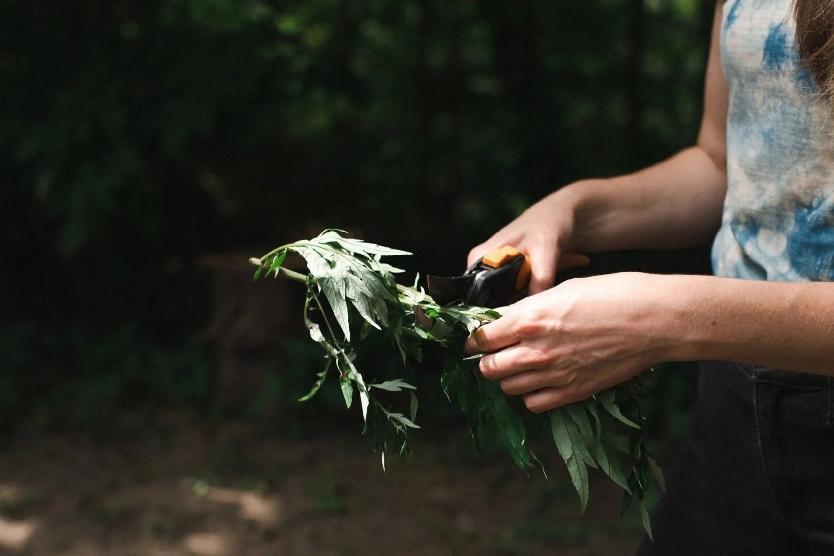 maggie latham studio