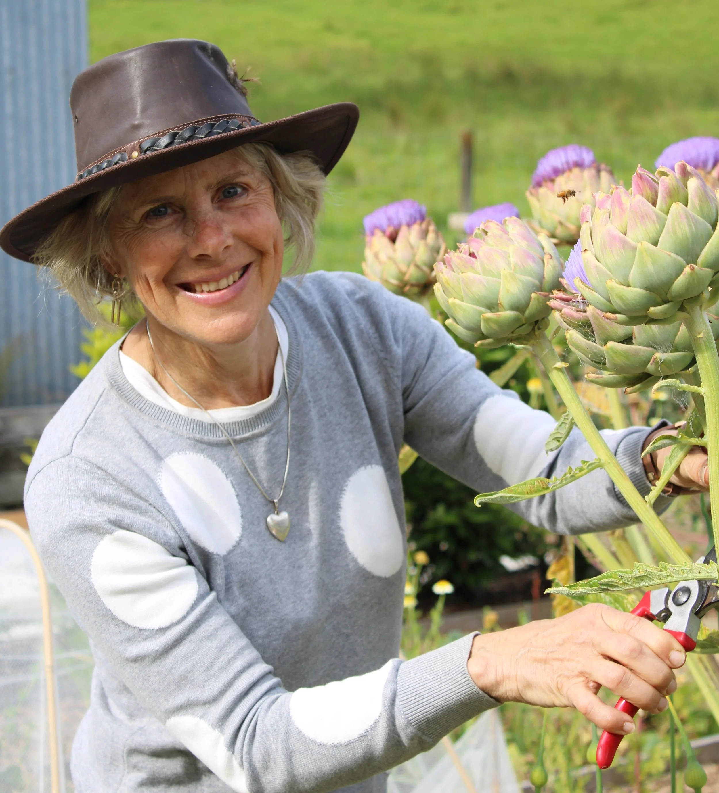 Our History and our Team — For The Love of Bees