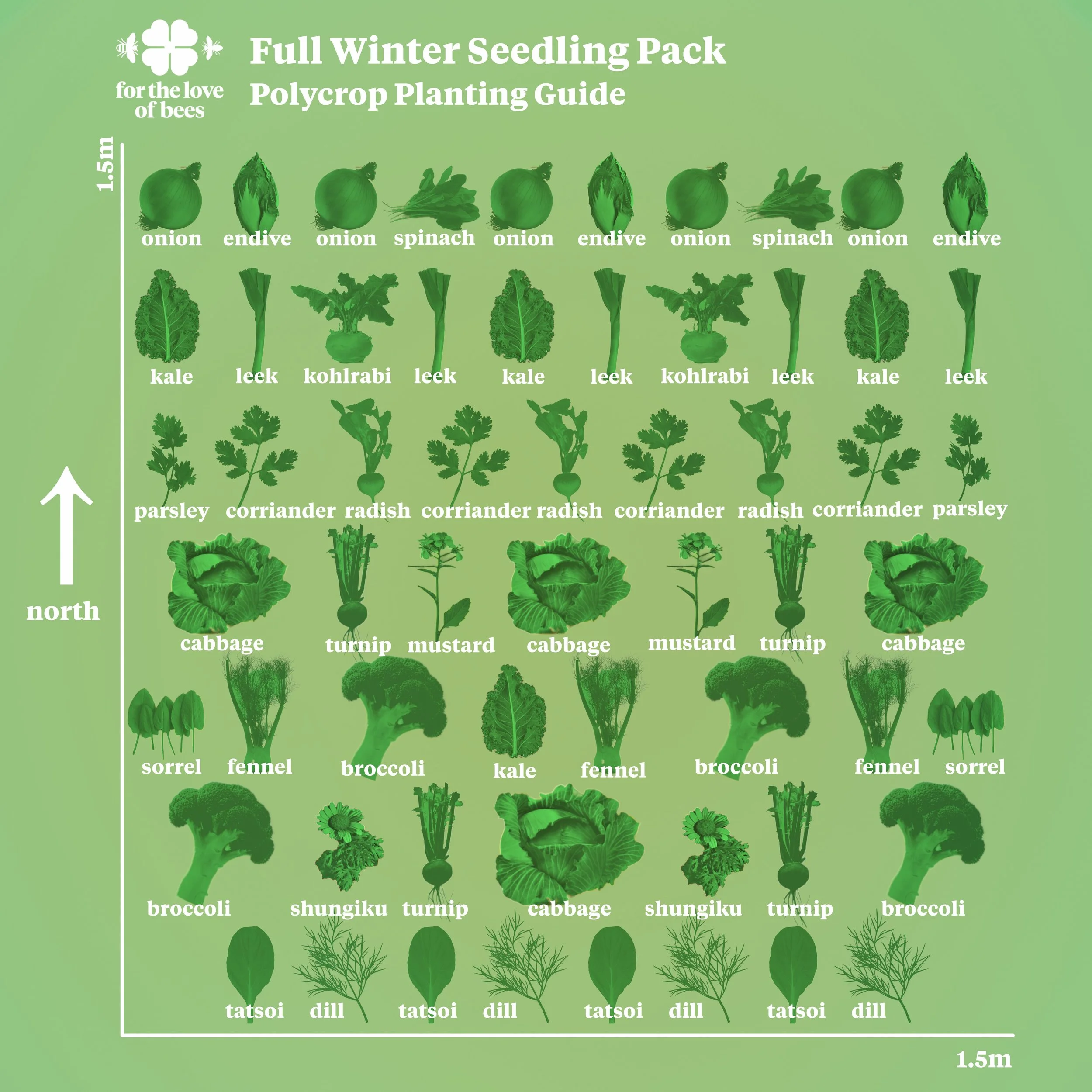 Seedling CSA — For The Love of Bees