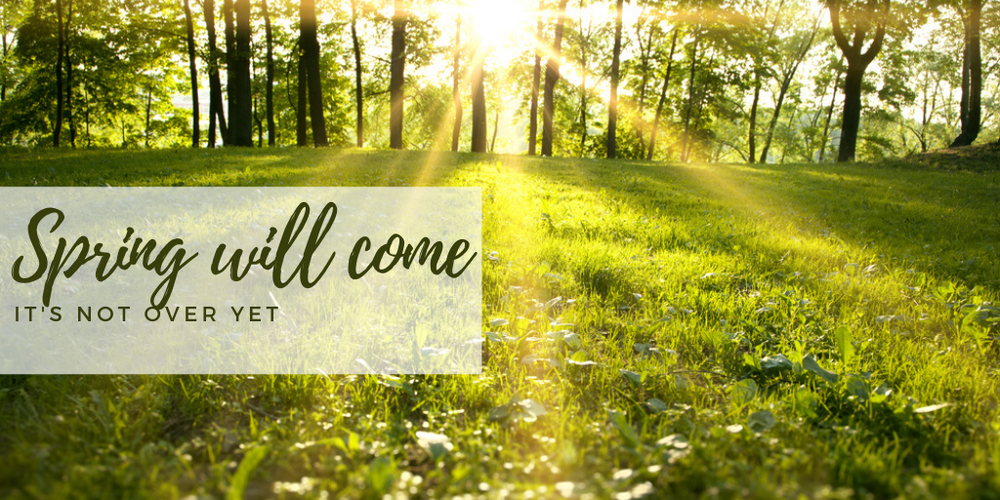 Spring Will Ever Get Here