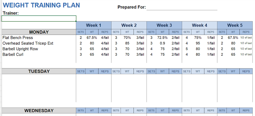 Treat Yourself Like an Athlete. Train Like a Pro — Chiswick-Physio